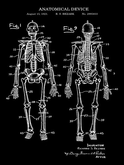 "Human Skeleton Patent Blueprint" Poster by MadebyDesign | Redbubble