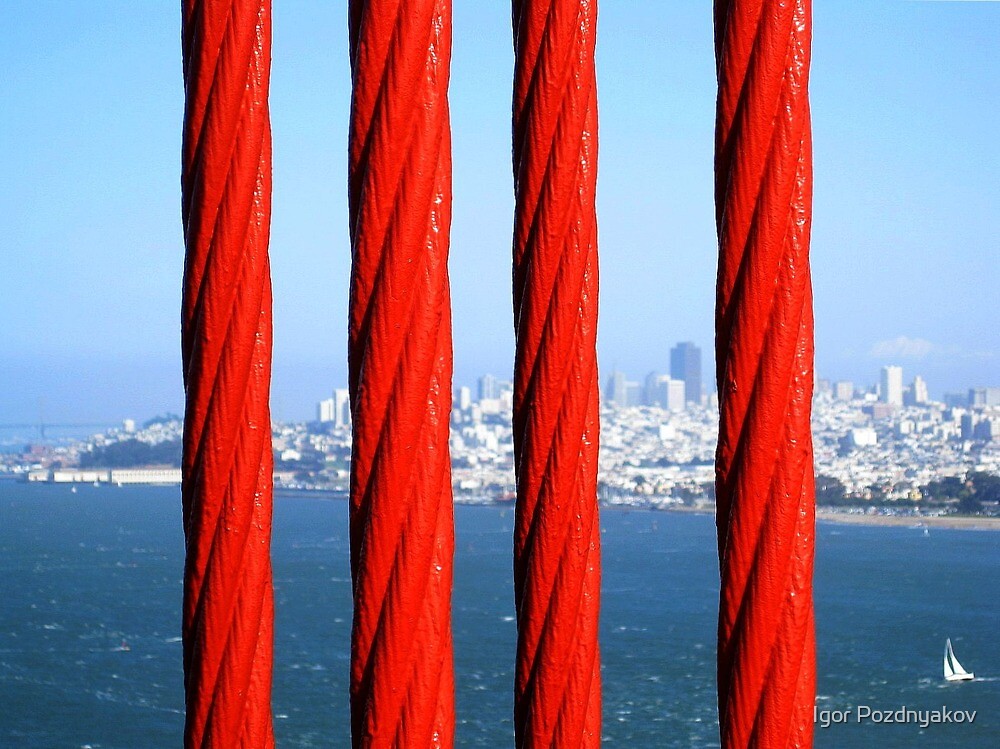 "San Francisco from the Golden Gate Bridge, through the Steel Ropes ...