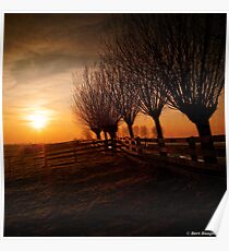 Albert Camus: Posters | Redbubble