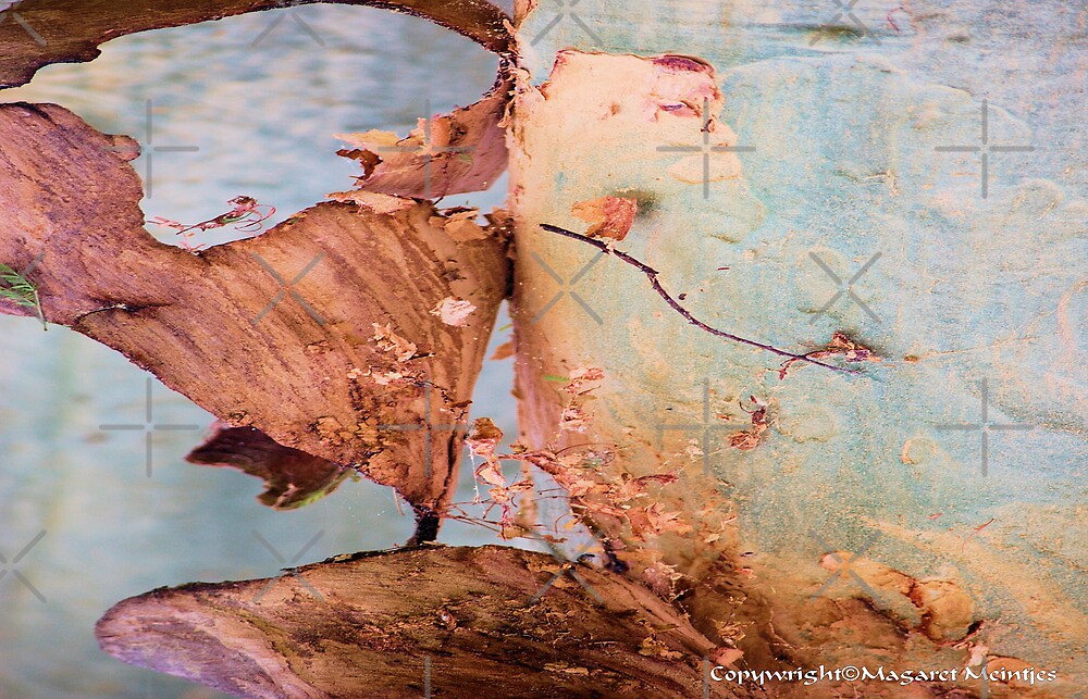 "THE FEVER TREE BARK ( in abstract) – Acacia xanthophloea " by Magriet ...
