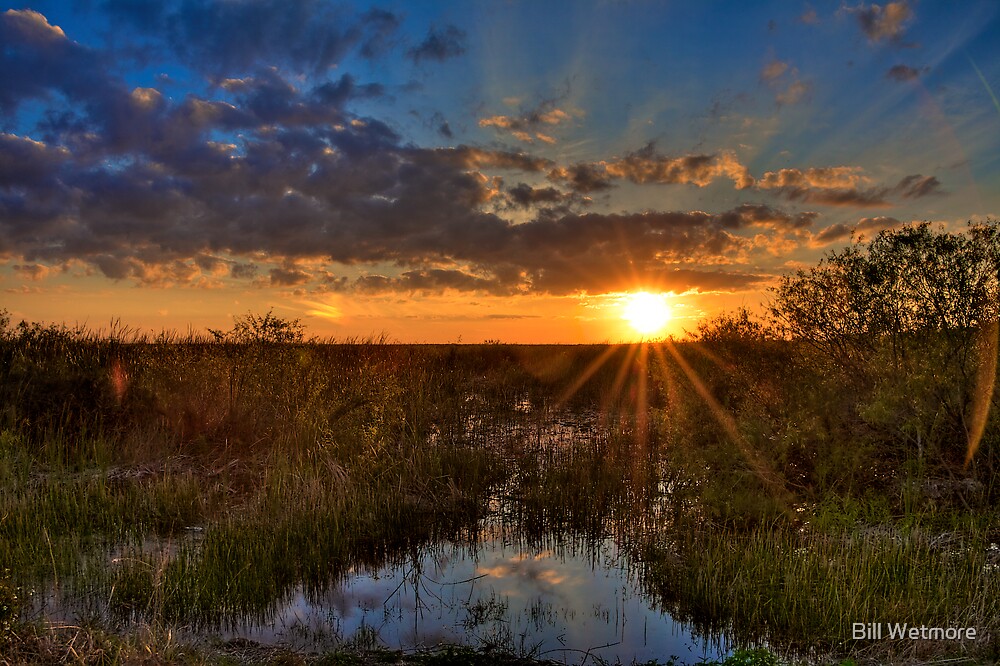 "Sunset over the Everglades" by Bill Wetmore | Redbubble