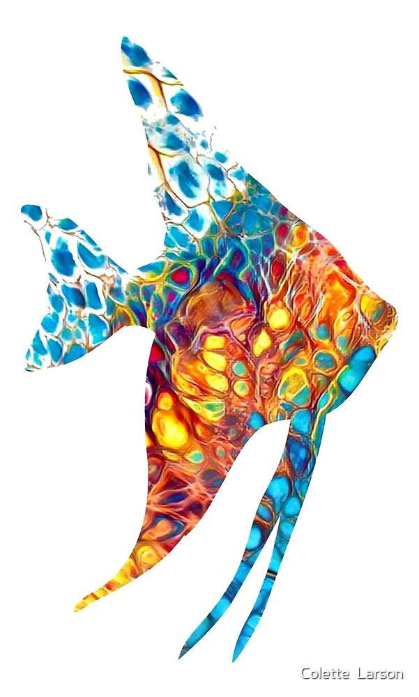 ""Acrylic Paint Pour Angelfish"" by Colette Larson | Redbubble