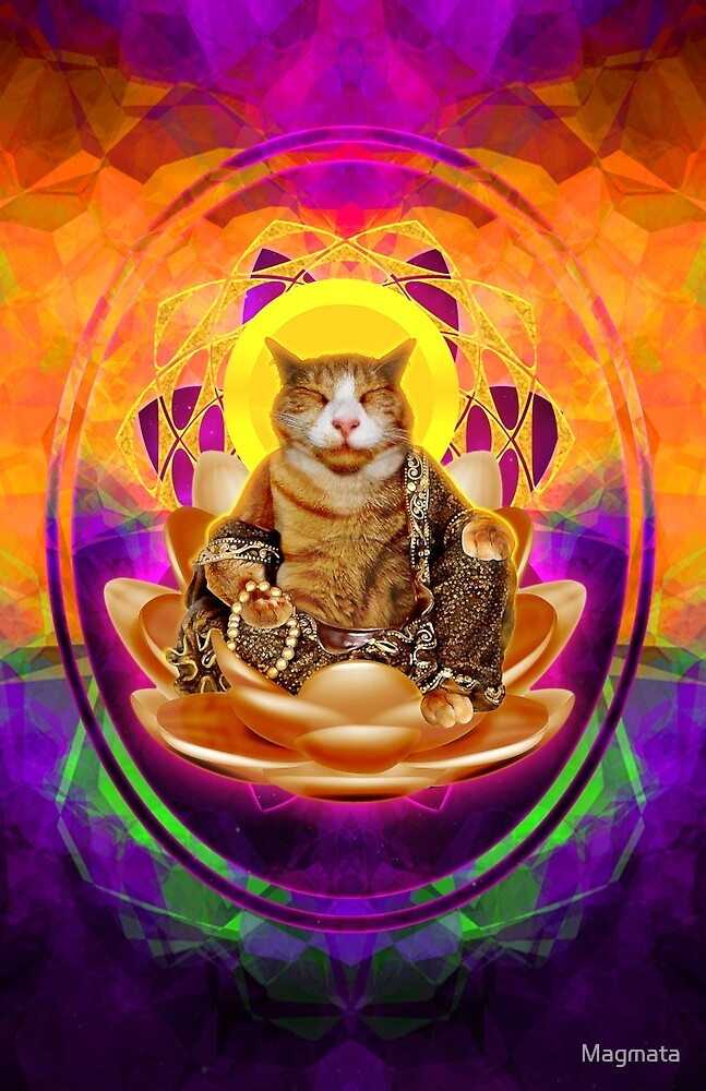 "Buddha Kitty Cat" by Magmata | Redbubble