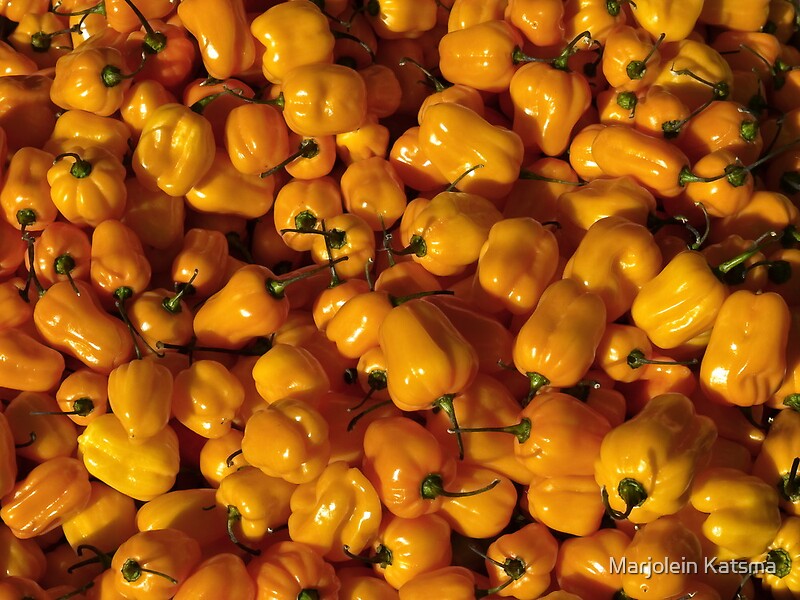 "Food - small yellow peppers" by Marjolein Katsma | Redbubble
