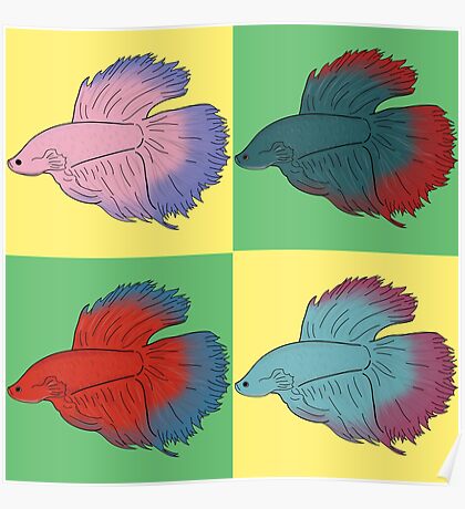 Betta Fish: Posters | Redbubble