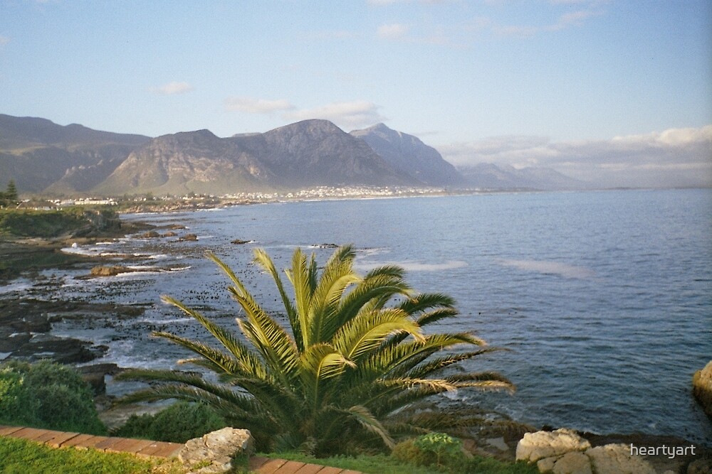 "Koueberge Mountains Overstrand Rural, Hermanus, Western Cape" by ...