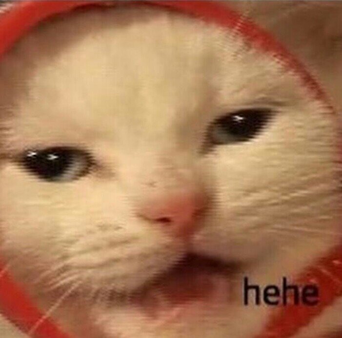 "Hehe Cat Meme" by ewitsbella | Redbubble