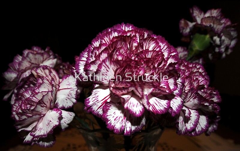 "Magenta Carnations" by Kathleen Struckle | Redbubble