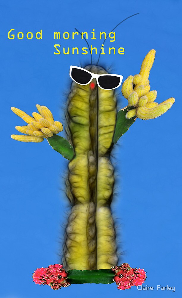 "Good Morning Sunshine Cactus" by Claire Farley | Redbubble