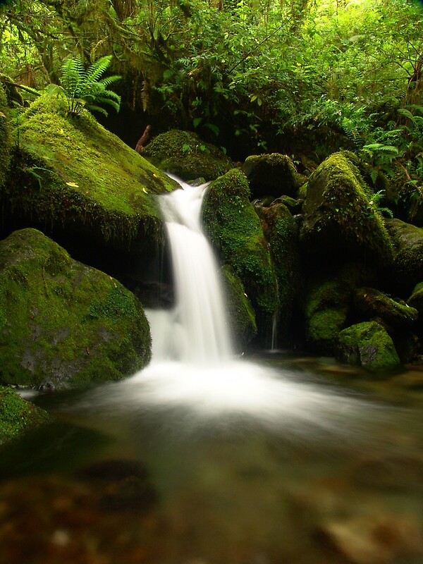 "Peacefull motion" by Craig Stonyer | Redbubble