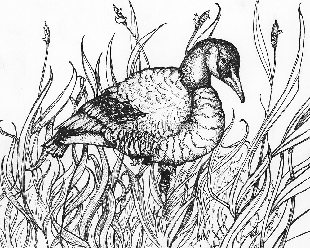 "Pen and Ink Canadian Goose - Heather Lynn White" by heatherwhiteart ...