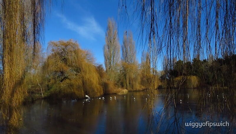 "The Lake, Riverside Walk, Colchester" by wiggyofipswich | Redbubble