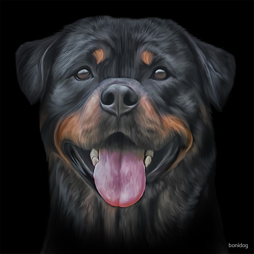 "Drawing dog rottweiler " by bonidog | Redbubble