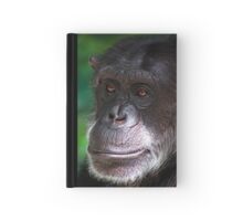 "Old Chimp" by Janine Hewlett | Redbubble