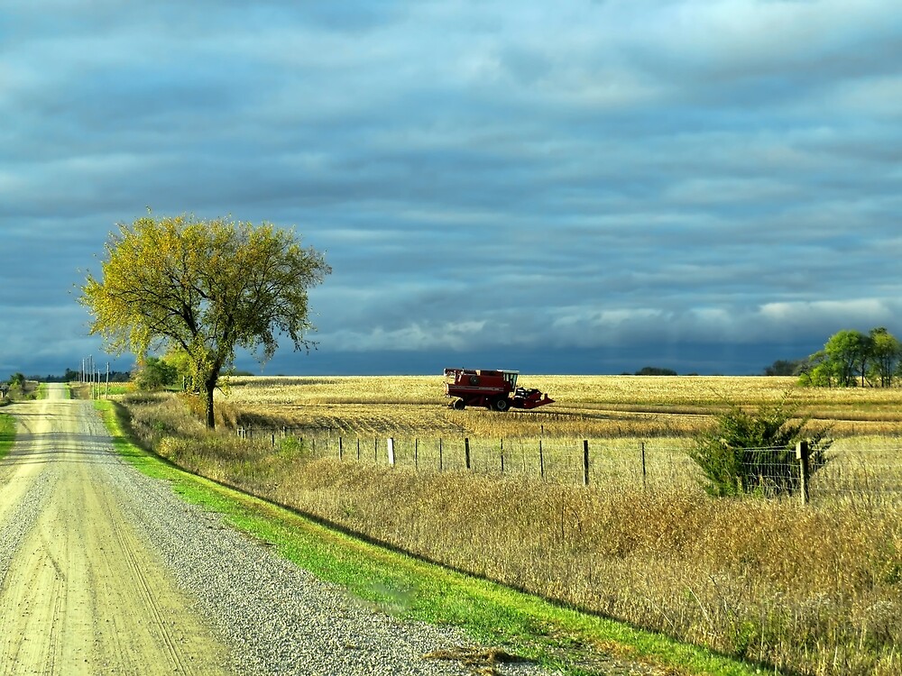 "Iowa Autumn" by Carolyn Fletcher | Redbubble