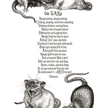 "Ode To A Rat" Poster for Sale by thepurplehusky | Redbubble
