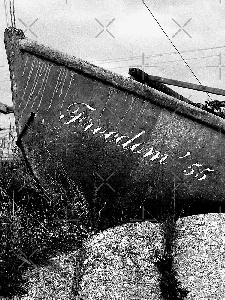 "Freedom 55 Boat" by Richard W J Conyard | Redbubble
