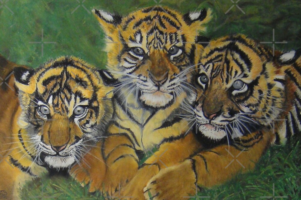 "3 tigers in the grass........." by angipangi7 | Redbubble