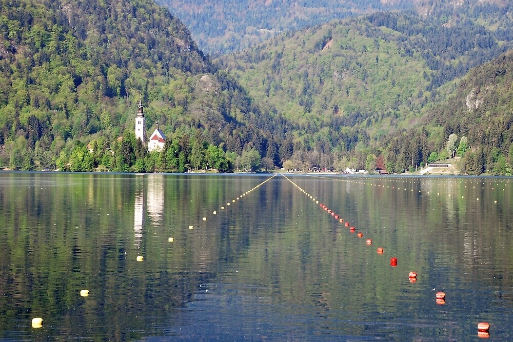"Rowing tracks on lake Bled - Slovenia" by Arie Koene | Redbubble