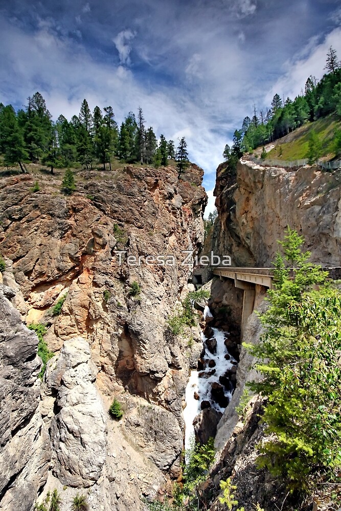 "Sinclair Canyon, Kootenay NP, BC, Canada" by Teresa Zieba | Redbubble