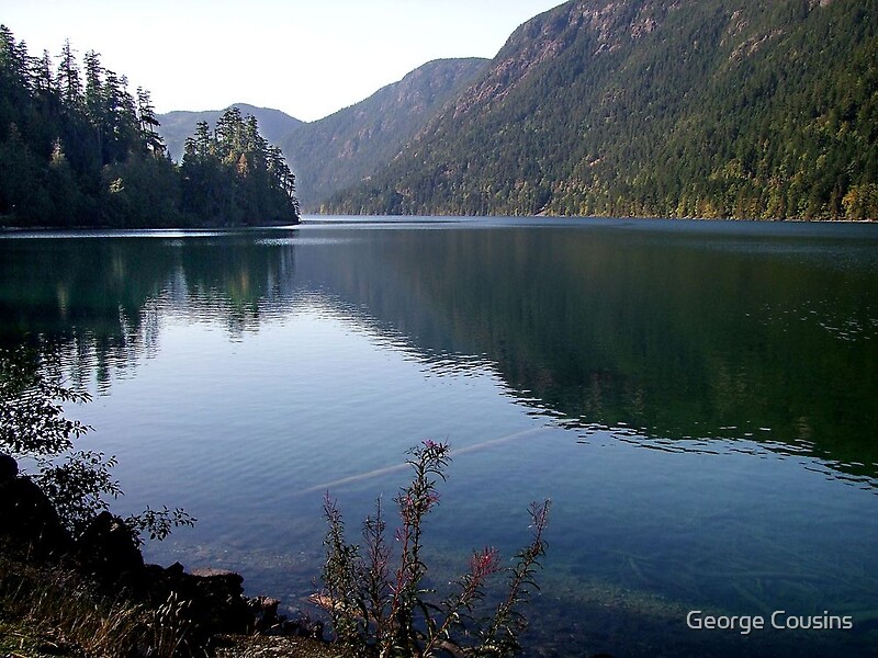 "Cameron Lake,Vancouver Island" by George Cousins | Redbubble