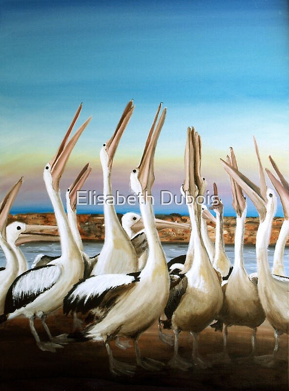 "PELICANS - Where's the prawn - bird - waterscape - skyscape - ED01" by ...
