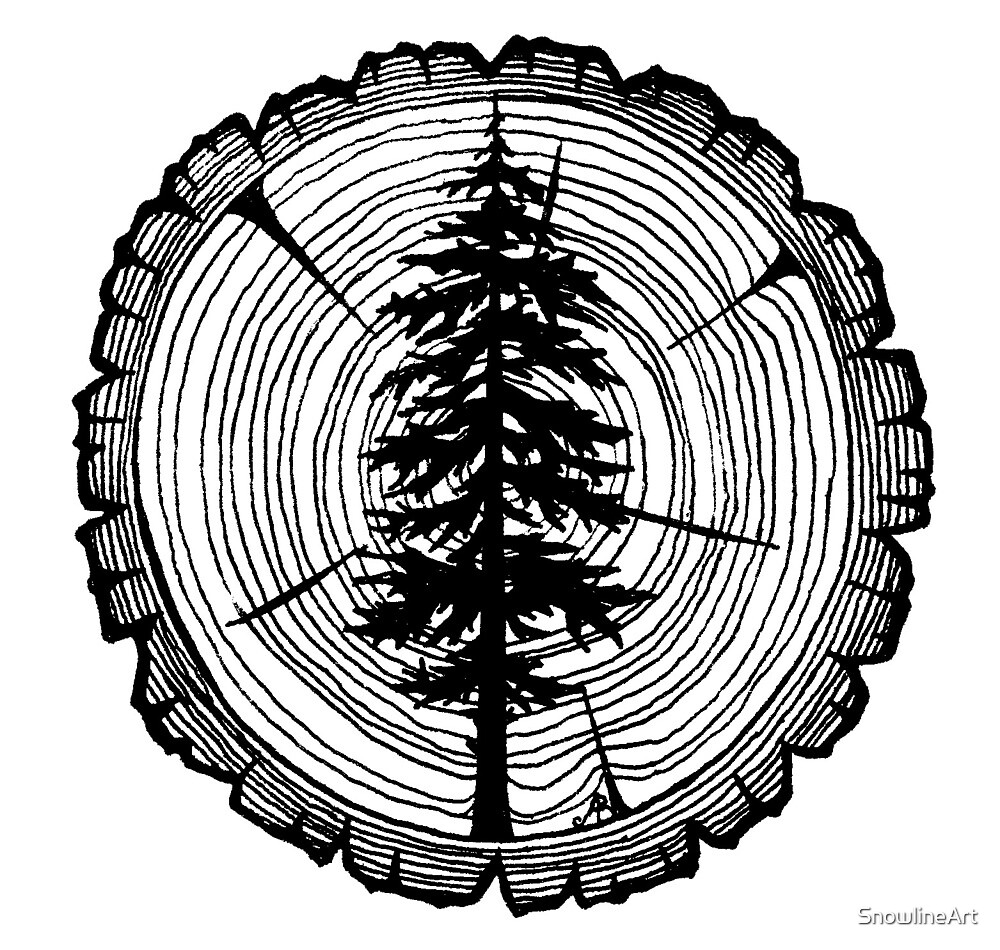 "Sitka Tree Silhouette - Original pen and ink illustrated design" by ...
