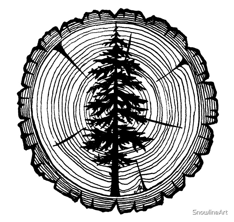 "Sitka Tree Silhouette - Original pen and ink illustrated design" by ...
