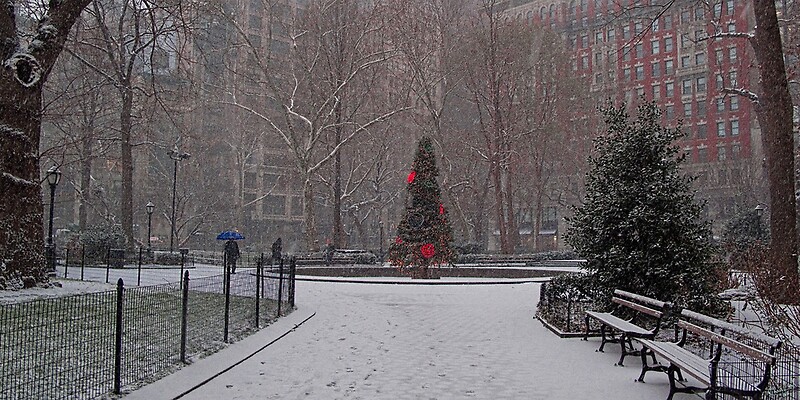 "A Christmas Tree In the Snow, Madison Square Park, NYC" by Chris Lord ...