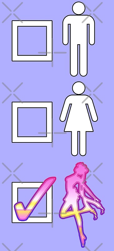 "The Enby Senshi (Bathroom Signs)" by voxcorvi | Redbubble
