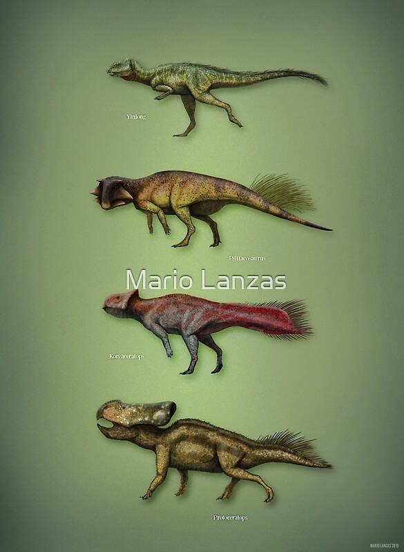 "Small Ceratopsids. Dinosaurs" by Mario Lanzas | Redbubble