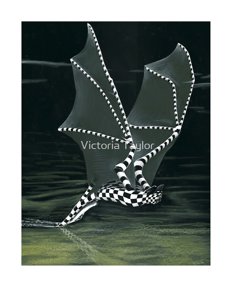 "Mexican Fishing Bat - Fishing in oceans shallows under the cover of ...