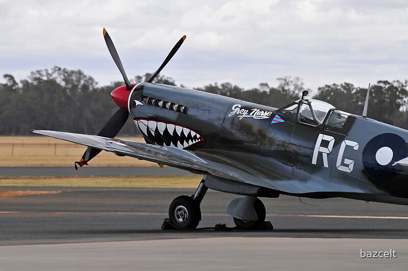 "Shark Art, Spitfire" by bazcelt | Redbubble