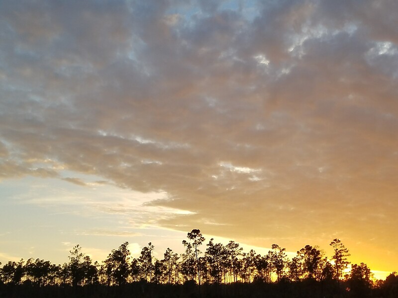 "Yellow night sky" by TIffanyMarie85 | Redbubble