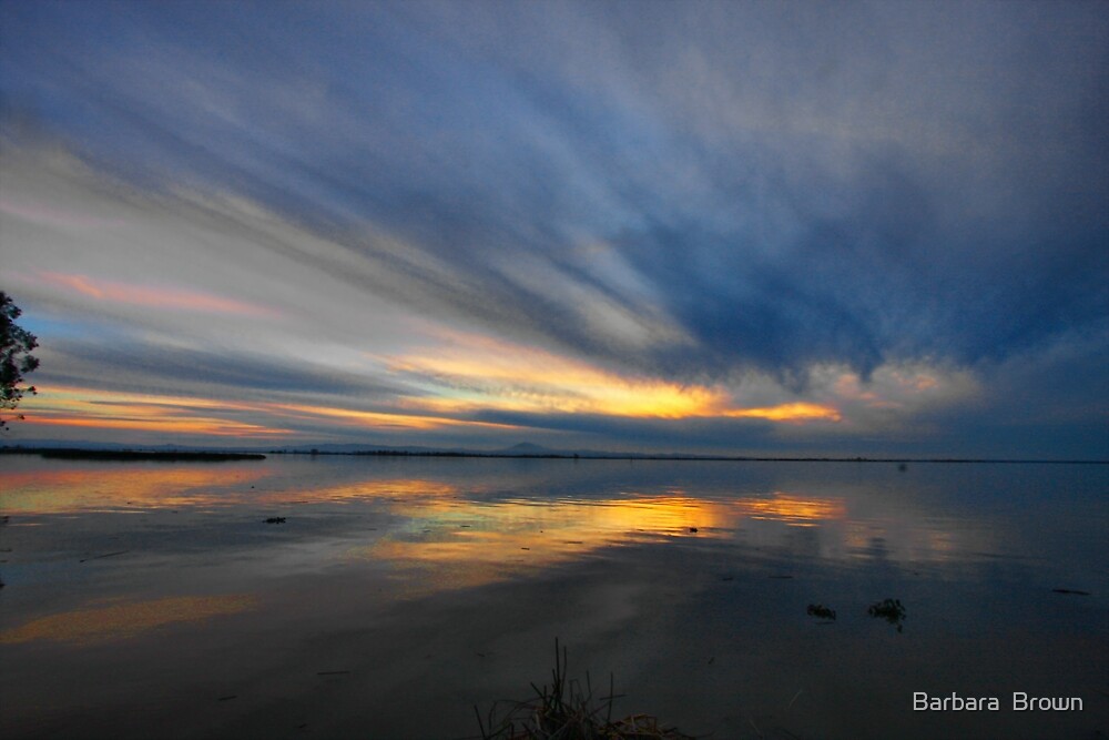 "Delta Sunset" by Barbara Brown | Redbubble