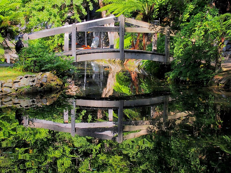"Symmetrical Bridge in Public Gardens" by PegasusImages | Redbubble