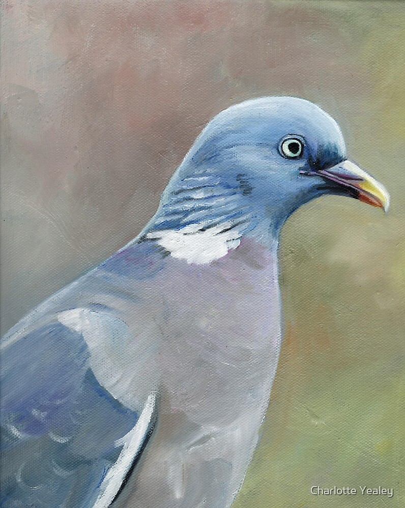 "Pigeon Oil Painting" by Charlotte Yealey | Redbubble