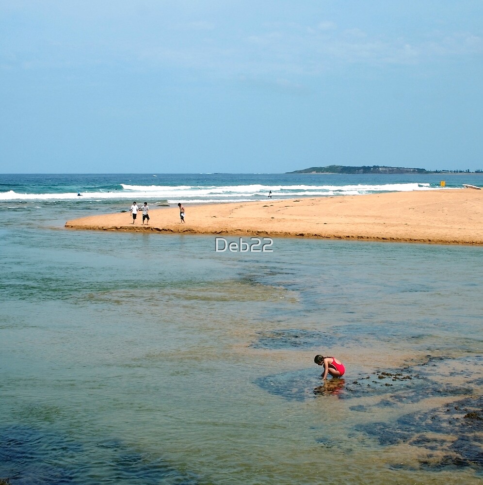 "Narrabeen Beach, Sydney, Australia" by Deb22 | Redbubble