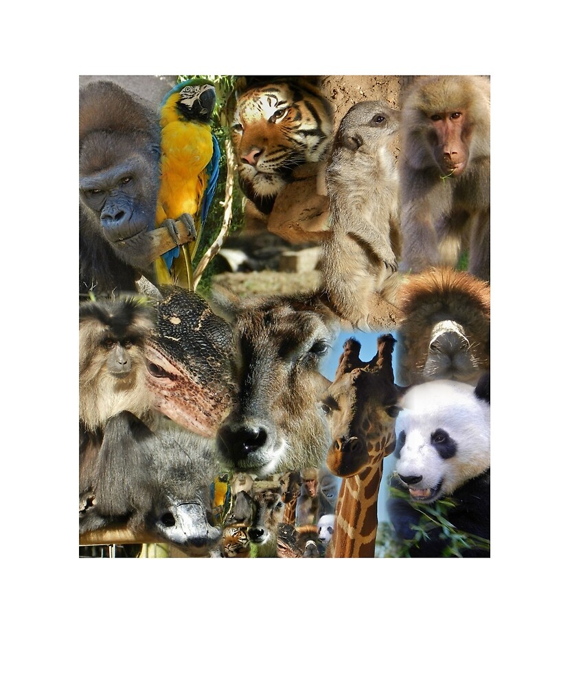 "Animal Collage" by Zoozwear Apparel | Redbubble