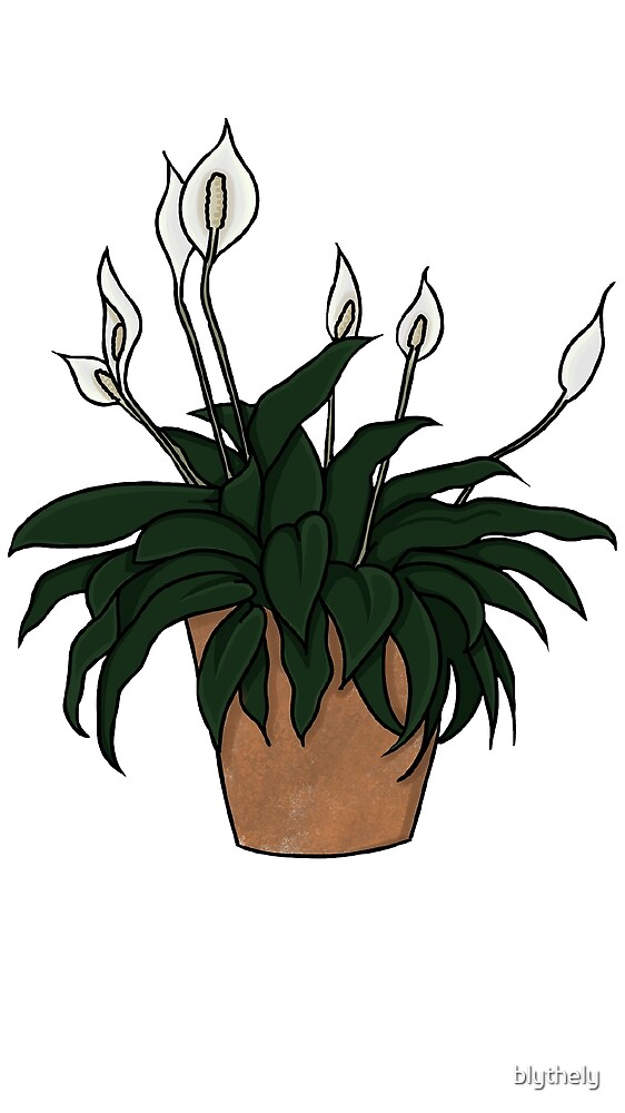 "Peace Lily Cartoon" by blythely | Redbubble