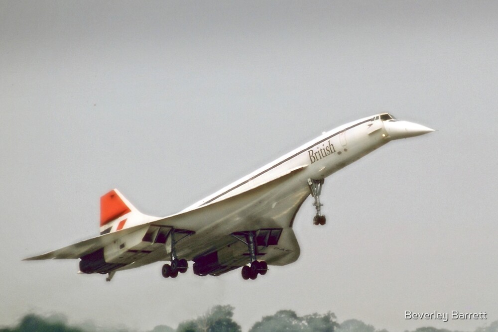"Concorde - Nose Down" by Beverley Barrett | Redbubble