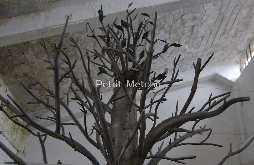 "Wrought Iron tree" by Petrit Metohu | Redbubble