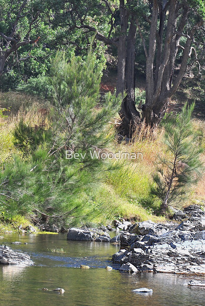 "Peel River, Nundle NSW Australia" by Bev Woodman | Redbubble