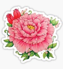 Peony: Stickers | Redbubble