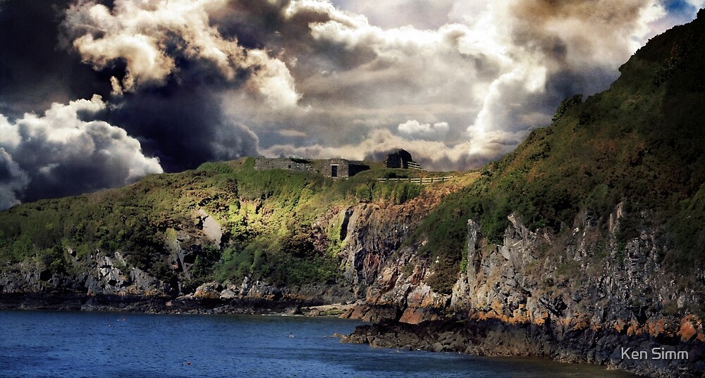 "The Stedding." by Ken Simm | Redbubble