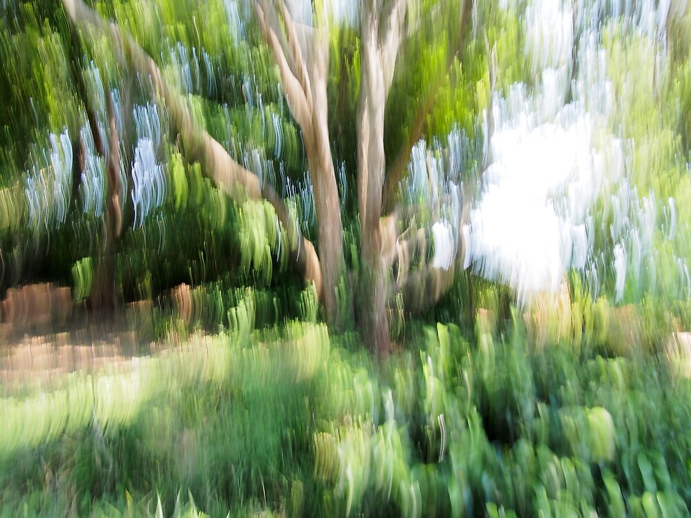 "Abstract Landscape Photography Image" by PegasusImages | Redbubble