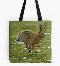 Hare: Gifts & Merchandise | Redbubble