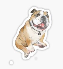 Bulldog: Stickers | Redbubble