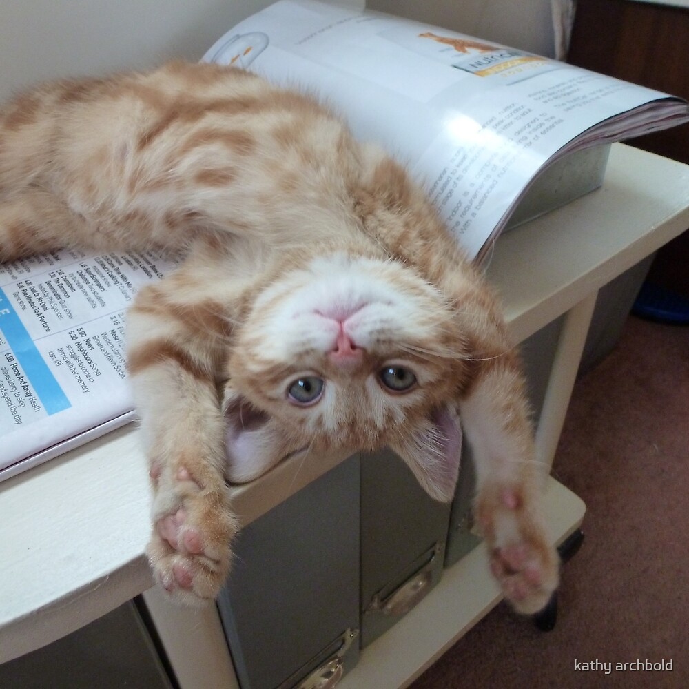 "Woody" by kathy archbold | Redbubble