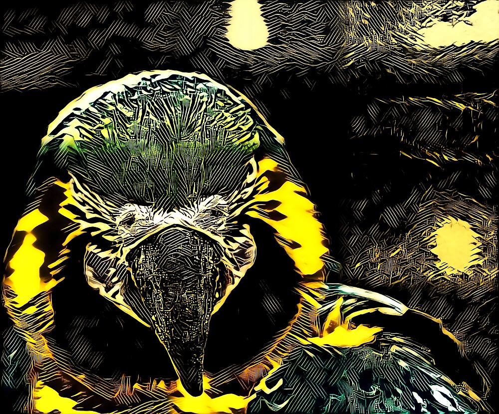 "Parrot Design" by Bionixxx | Redbubble